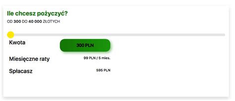 Pikassa Szybkie Pożyczki Do 40 000 Zł Sprawdź Ofertę I Opinie W