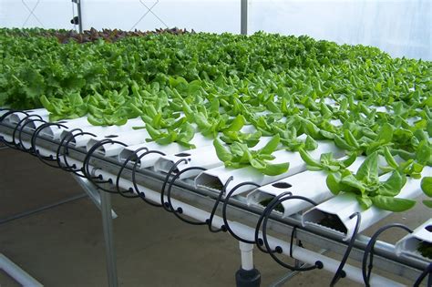 Smart Hydroponic Aquaponics Monitoring And Controlling System Components Used Specifications