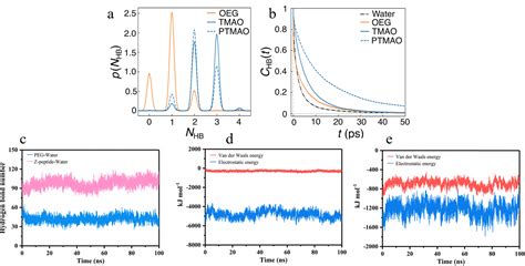 Experimental And Computational Techniques To Investigate The Protein