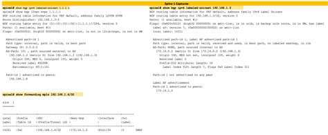 deploy layer3 evpn over segment routing mpls in nexus 9300 cisco