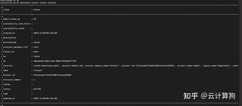 Openstack 创建共有网络和私有网络 知乎