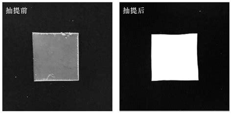 一种海岛结构的聚偏氟乙烯多级孔薄膜及其制备方法与流程