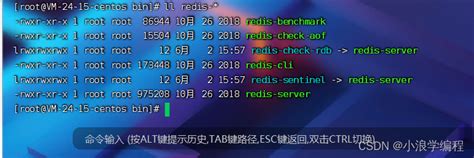 【redis系列】在centos7上安装redis5 0保姆级教程！ centos7安装redis5 csdn博客