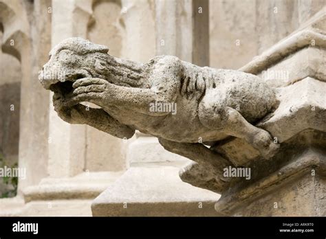 Ancient Weathered Stone Gargoyle Or Grotesque Eroded Over The Centuries