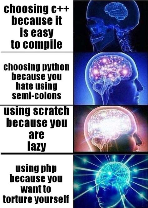 Choosing Programming Language Rprogrammerhumor