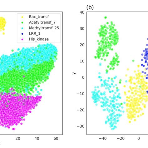 Visualization Of Embedded Protein Sequences Result Of Embedding The Download Scientific
