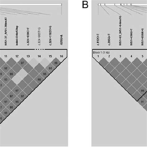 Haplotype Block Structure For The 16 Common Polymorphisms The Download Scientific Diagram