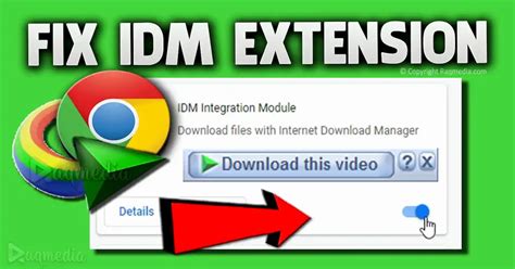 Fix IDM Extension Problems In Any Browser RaQMedia