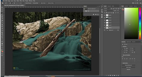 Colorization Project Trace Digital Portfolio