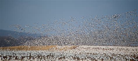 Migrating To Linux Using Sudo