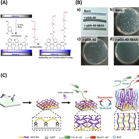 A Schematic Representation Of The Formulation Of A Multifunctional Download Scientific
