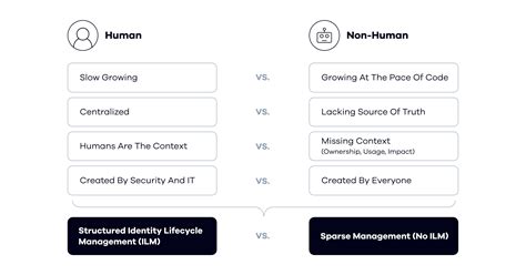 What Are Non Human Identities Csa