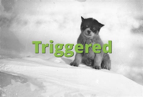 Triggered Meaning