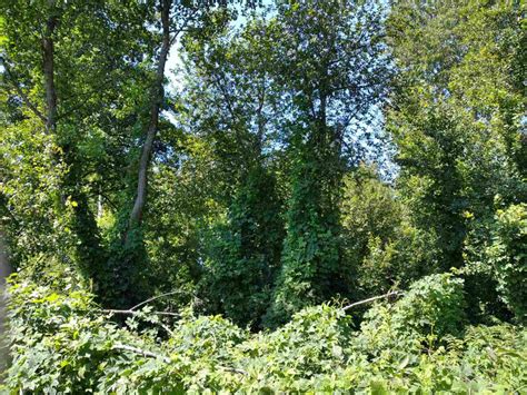 Карта особо охраняемых природных территорий Республики Беларусь Министерство природных