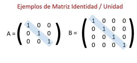 Matriz Cuadrada Definición Y Concepto Whlfs
