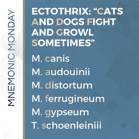 Dermatophytosis Of The Hair Ectothrix