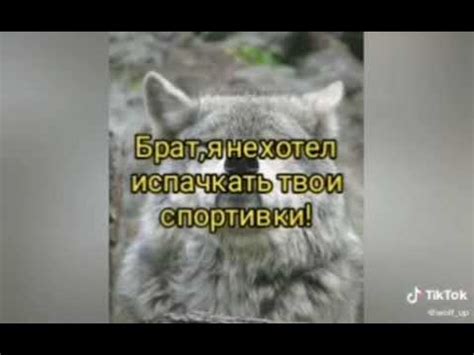 Ауф☝🏼 - YouTube