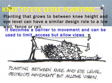 Lecture 4 Types Of Planting Design PPT