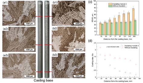 Macro Etched Surface Of Rod Shaped Casting A B Dendrite