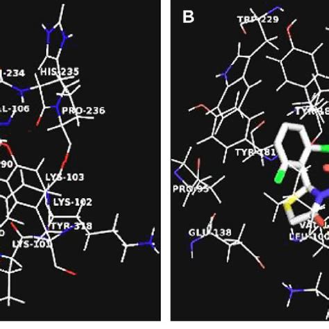 Binding Model Of Compounds 25 Left And 28 Right In The Nnrti Download Scientific Diagram