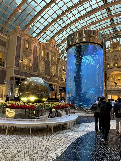 茶茶丸將軍 三国志真戦100鯖 General Chacha Twitter