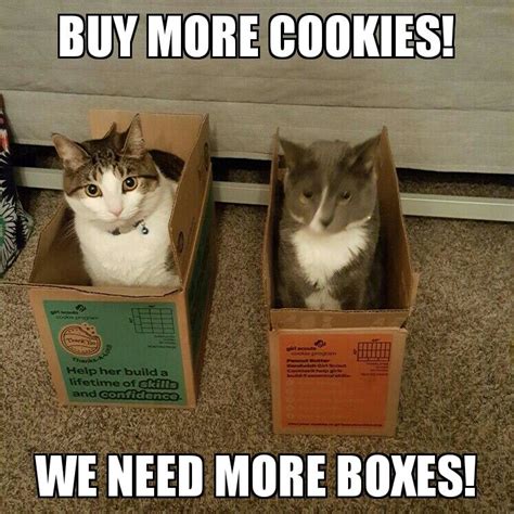 Girl Scout Cookies Float Meme At Louise Forsman Blog