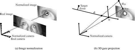Figure 3 From Appearance Based 3d Gaze Estimation With Personal Calibration Semantic Scholar