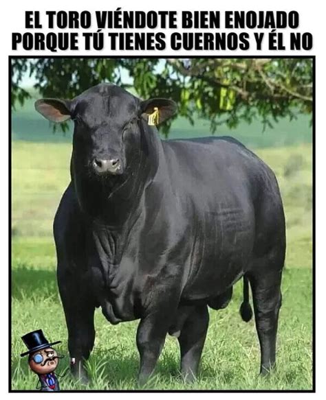 Cuánto Cabrón Te Envidia