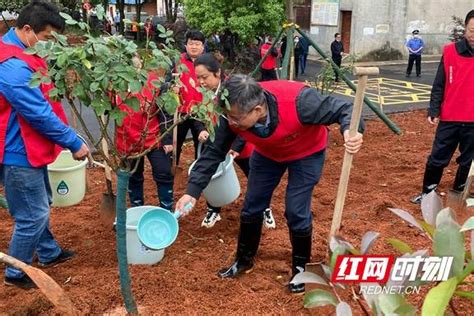 劳动节前瞿海带头植树 加快推进益阳中心城区口袋公园项目建设瞿海益阳城区