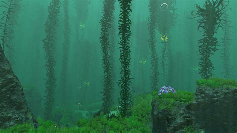 Subnautica Kelp Forest Blood Kelp Zone Fiogn