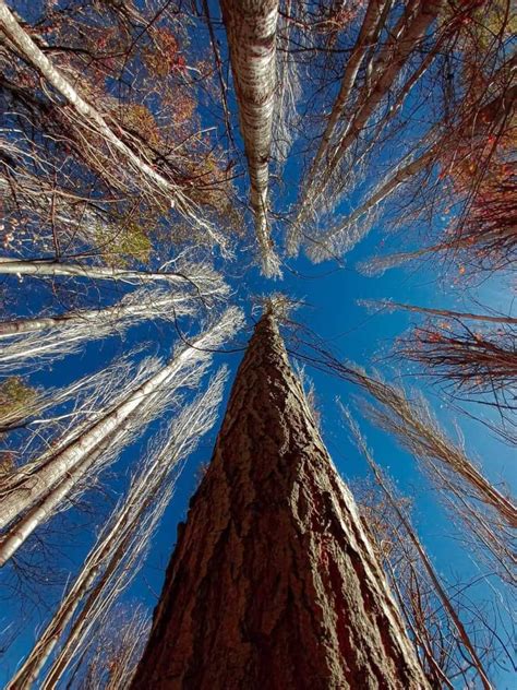 افغانستان از لنز دروبین 2024