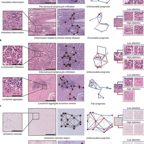 Heterogeneous Context Feature Extracted By Tea Graph The First Column Download Scientific