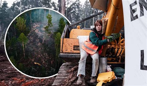Tas Tree Protest Activists Chain Themselves To Machines Two Arrested
