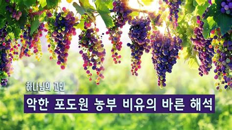 악한 포도원 농부 비유에서 주님이 가르치셨던 교훈은 무엇일까요 자막 Youtube