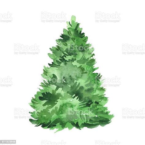 Fir Tree Watercolor Illustration Isolated On White Stock Illustration