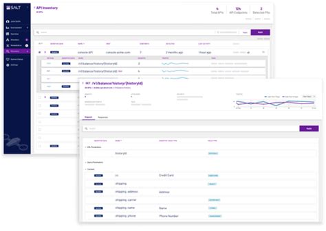 The Salt Security Api Protection Platform