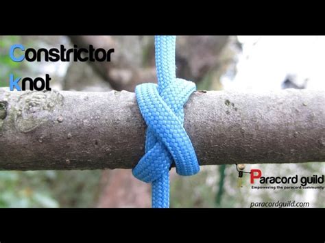 Constrictor Knot