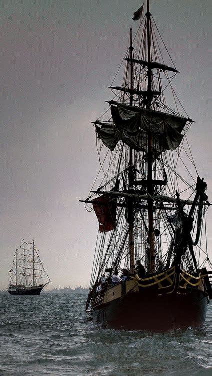 Pirate Tumbex