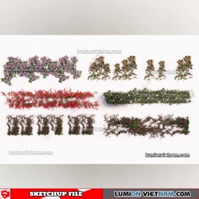Plant Wall Sketchup Models By Dinh Thanh Plant Wall Sketchup Models By Dinh Thanh