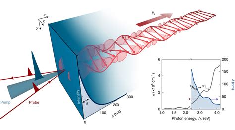 Coherent Spin Wave Transport In An Antiferromagnet Caviglia Group