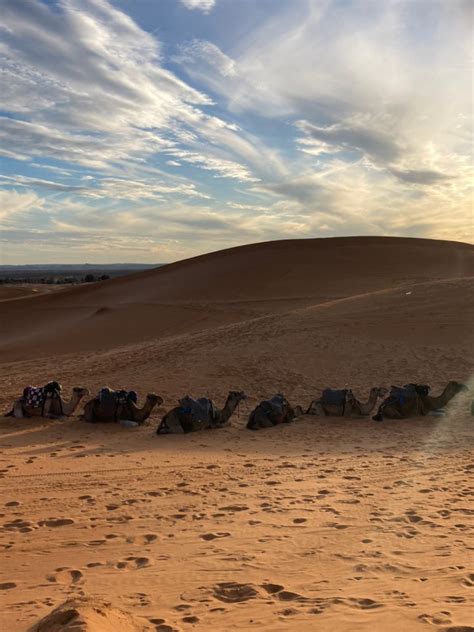 모로코 여행 사하라 사막 투어 알리네 예약 경비 준비물 일정 네이버 블로그
