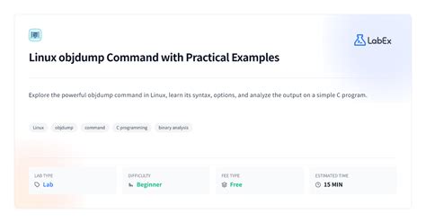 Linux Objdump Command With Practical Examples Labex