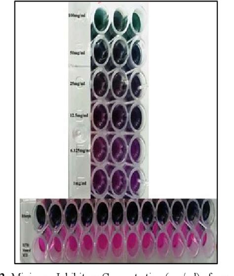 Figure From In Vitro MABA Anti Tuberculosis Assay Of Eclipta Alba L Hassk Whole Plant