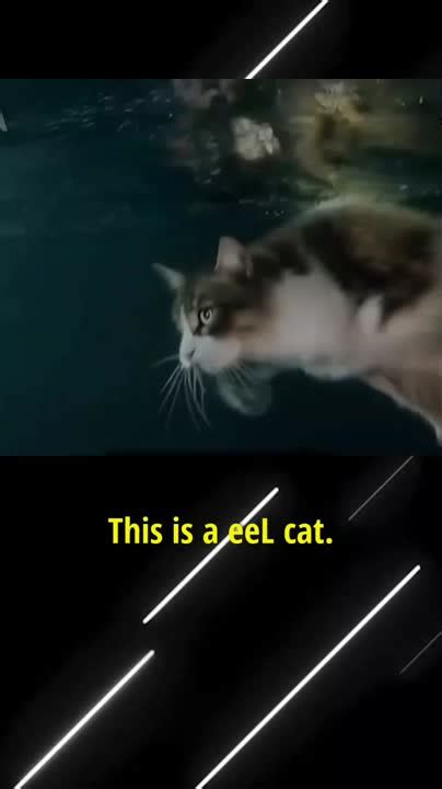 Video Deepak T M On Linkedin Openai Sora Texttovideo Ai