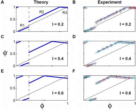 experimental and theoretical phase transition curves for all panels