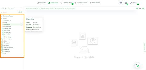 Explorer — Conversight Documentation