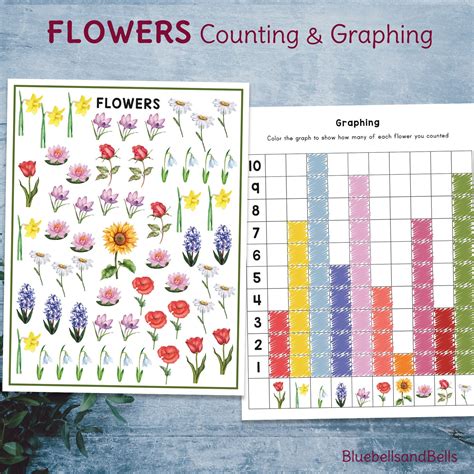pictures of flowers in numbered graphs