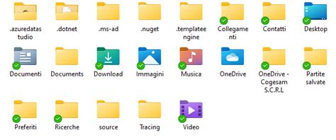 User File Folder Icon In Windows 11 Microsoft Community