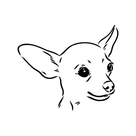 Toy Terrier Vector Sketch 7314770 Vector Art At Vecteezy