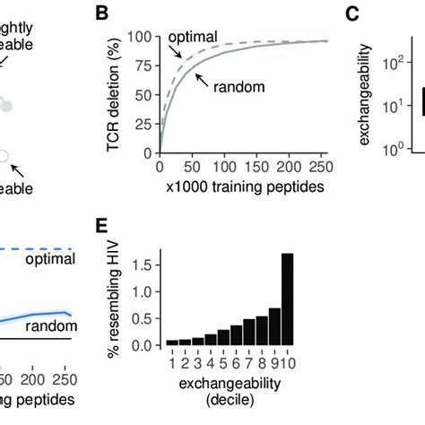 Improved Self Representation During Negative Selection Allows